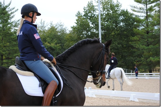The Lisa Porter Collection : Dressage Team USA